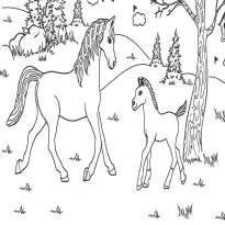 Schleich Horse Club Ausmalbilder schleich Pferde ausmalbilder horse ...
